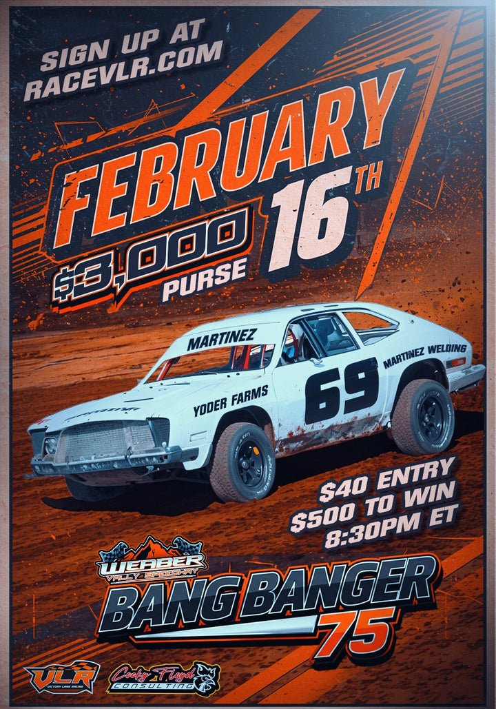 Team VLR eSports Dirt Sim Racing Series and Events